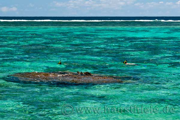 westaustralien, Schnorcheln am Ningaloo Reef, Cape Range NP